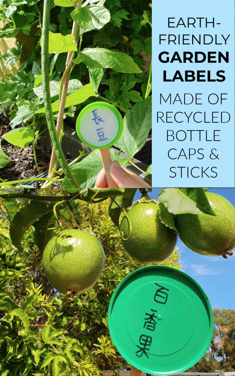 Fruit and Veggie Garden Planting Activities for Kids