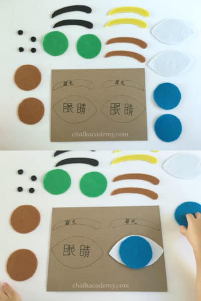 How to Make a Felt Eye Puzzle - Human Anatomy Activity for Kids