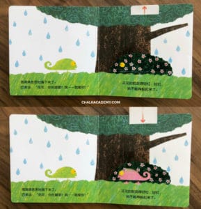 Rainbow Chameleon Book Review and Paper Plate Craft!