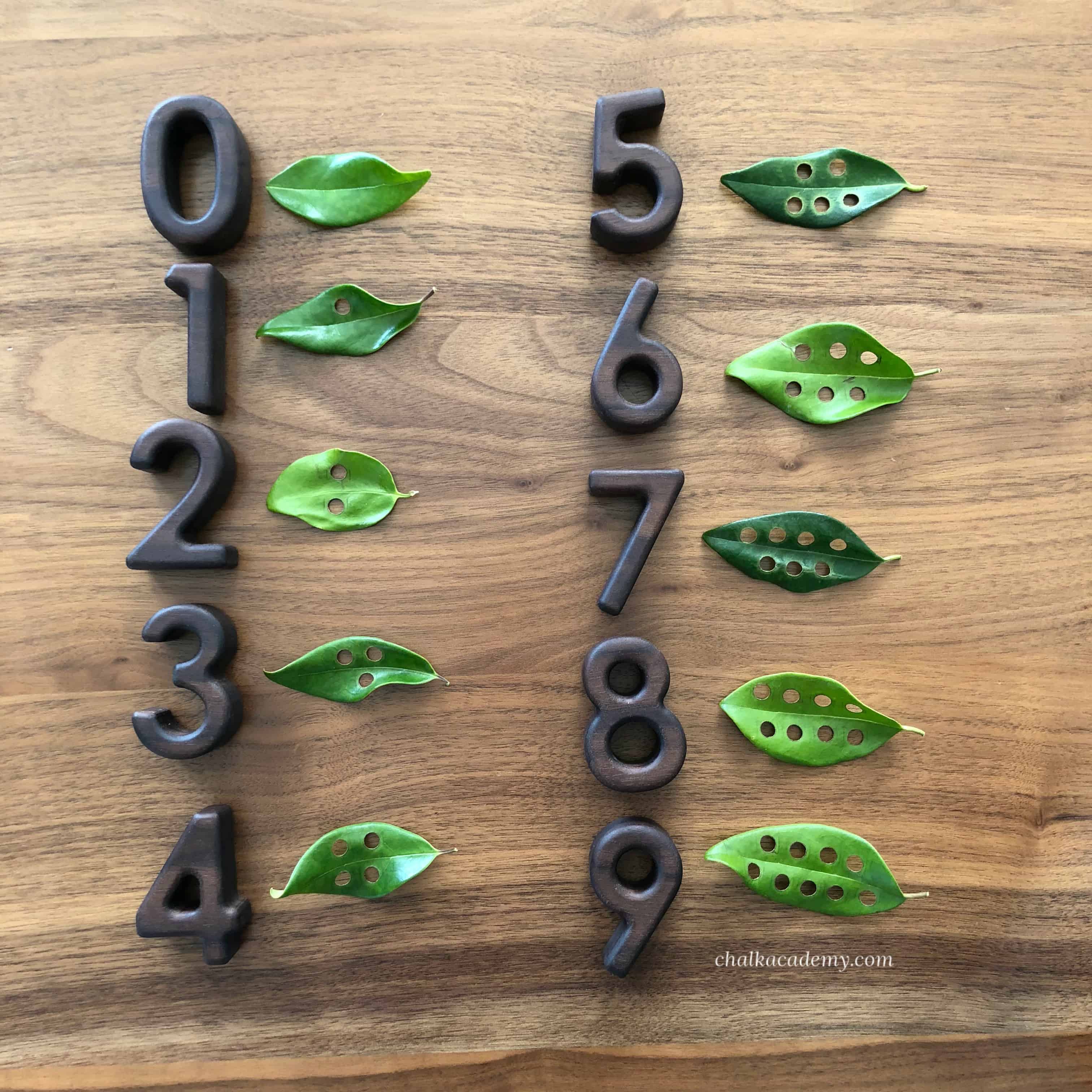 5 Easy Fine Motor Math Activities with Hole-Punched Leaves!