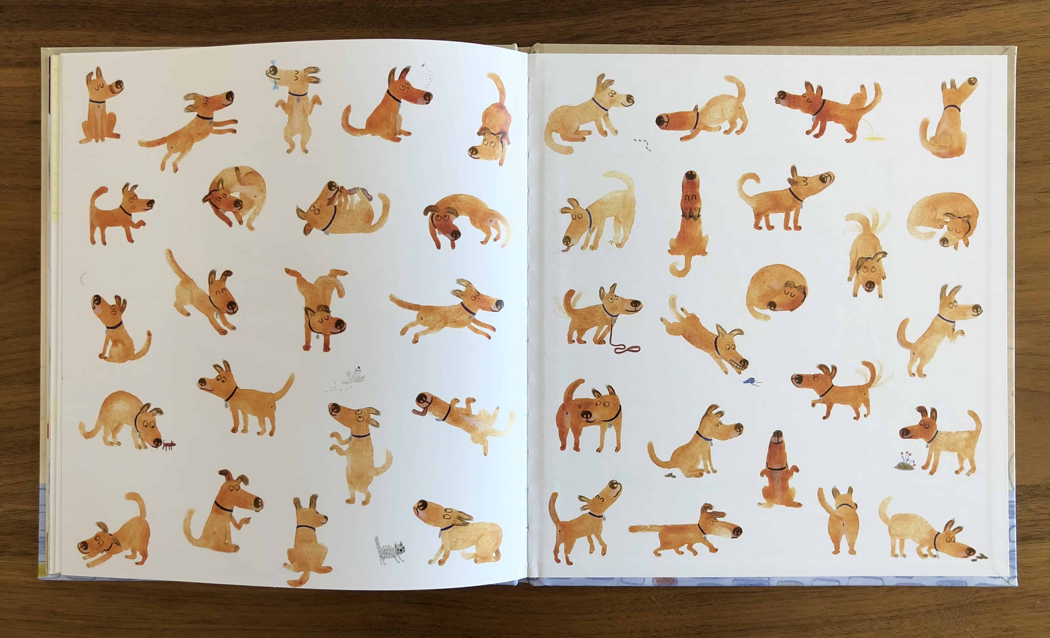 Cute and Relatable Chinese Picture Books About Dogs for Kids