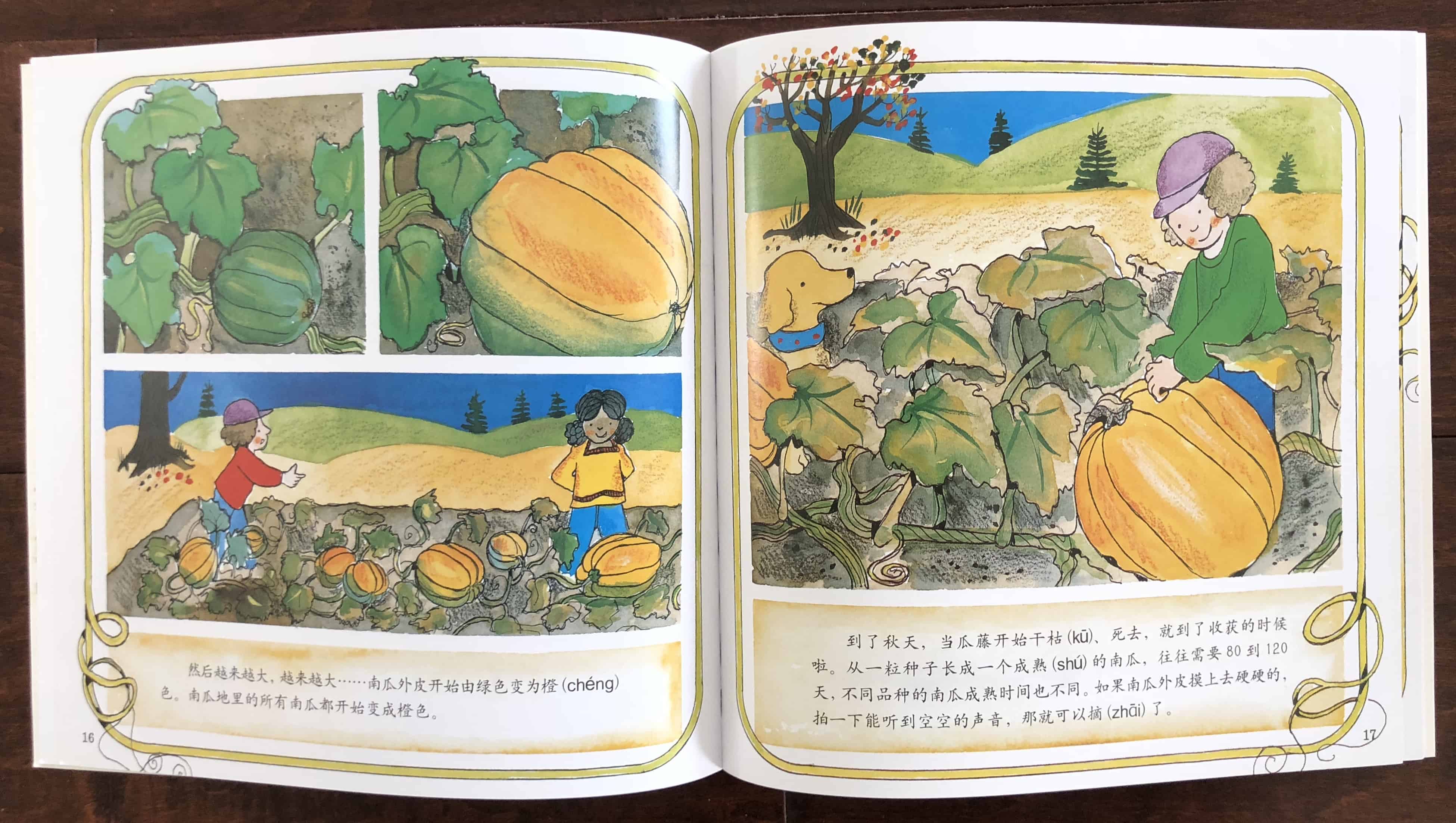15 Tree and Autumn Books for Kids in Chinese and English