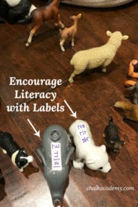 Create a Print-Rich Environment with Labels that Promote Literacy