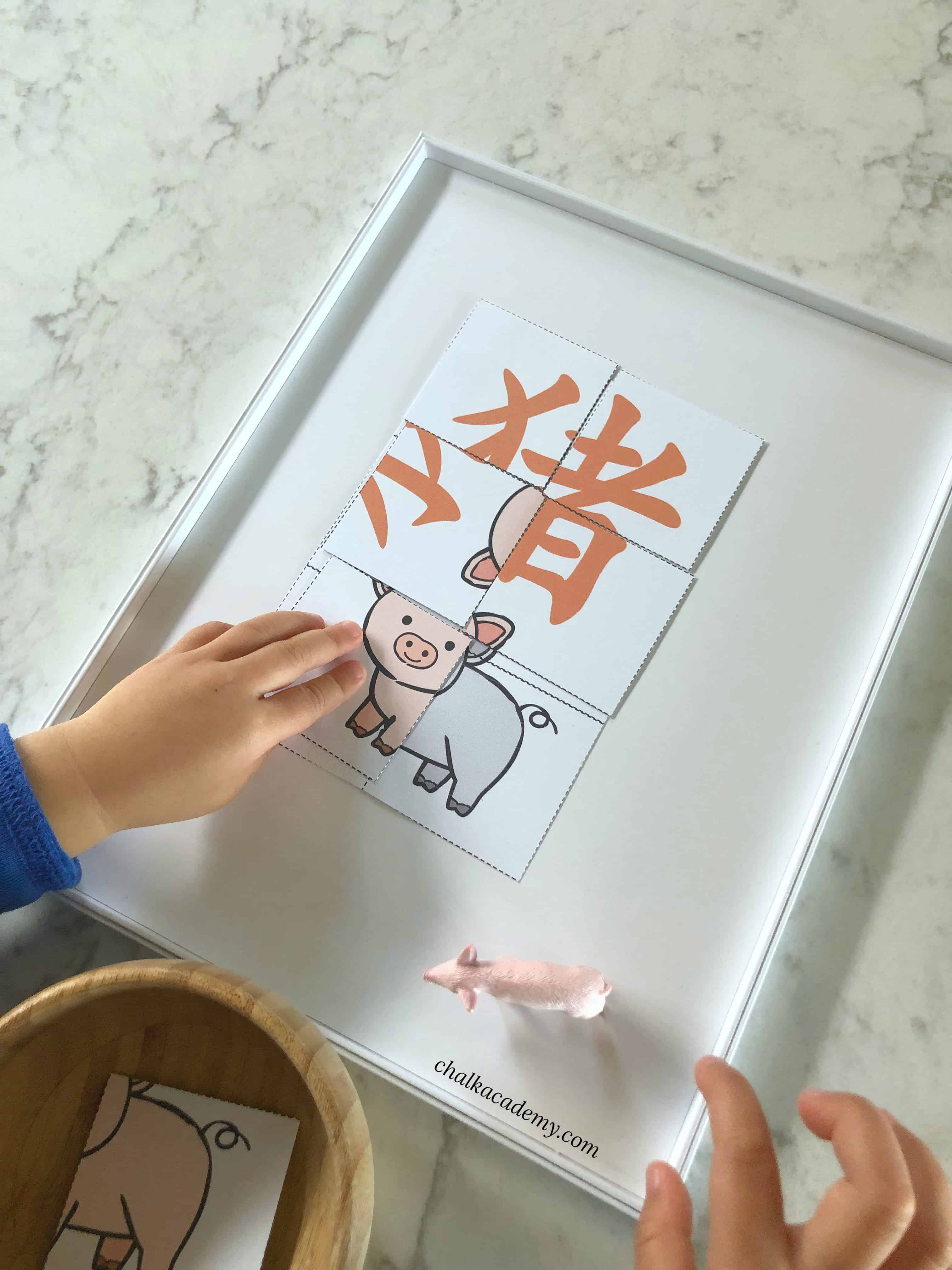 Chinese New Year of the Pig 小猪小猪肥嘟嘟 Song and Activities