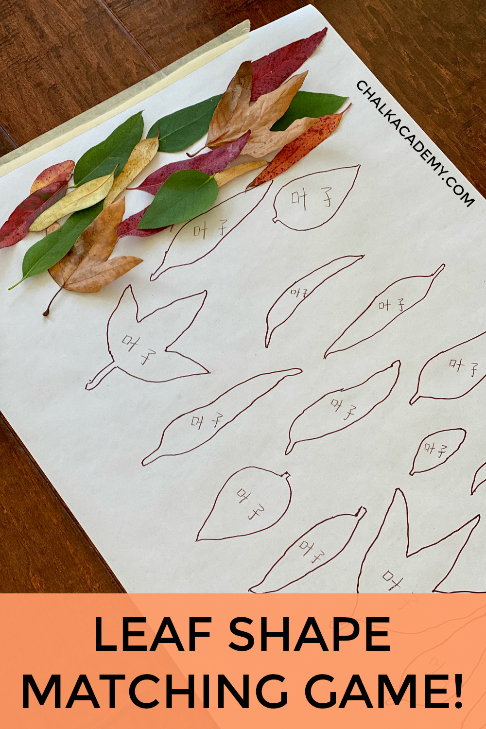 10 Fun and Free Chinese Teaching Activities with Leaves! (Printable)
