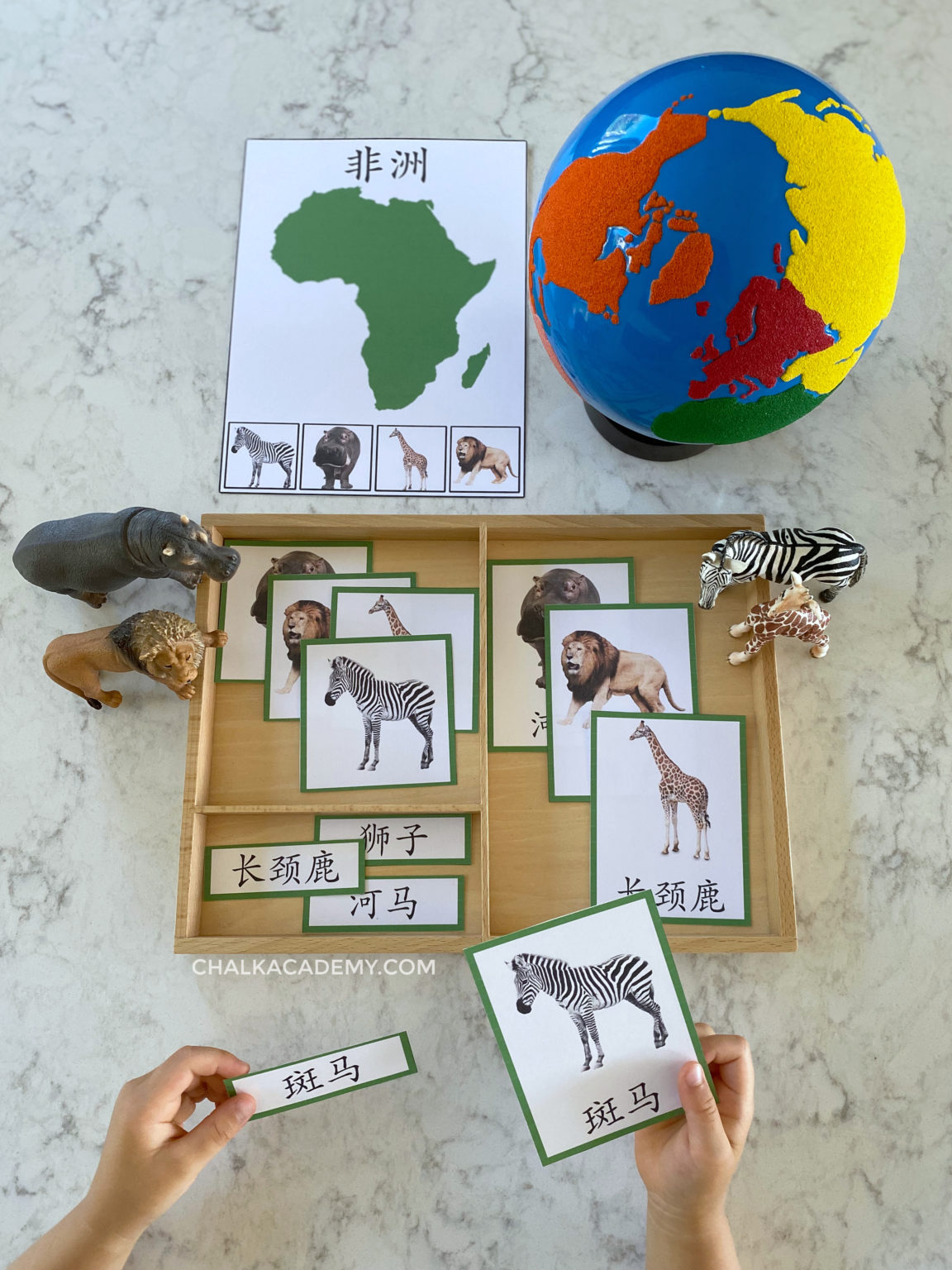 Best Montessori Animals and Continents Activity for Kids