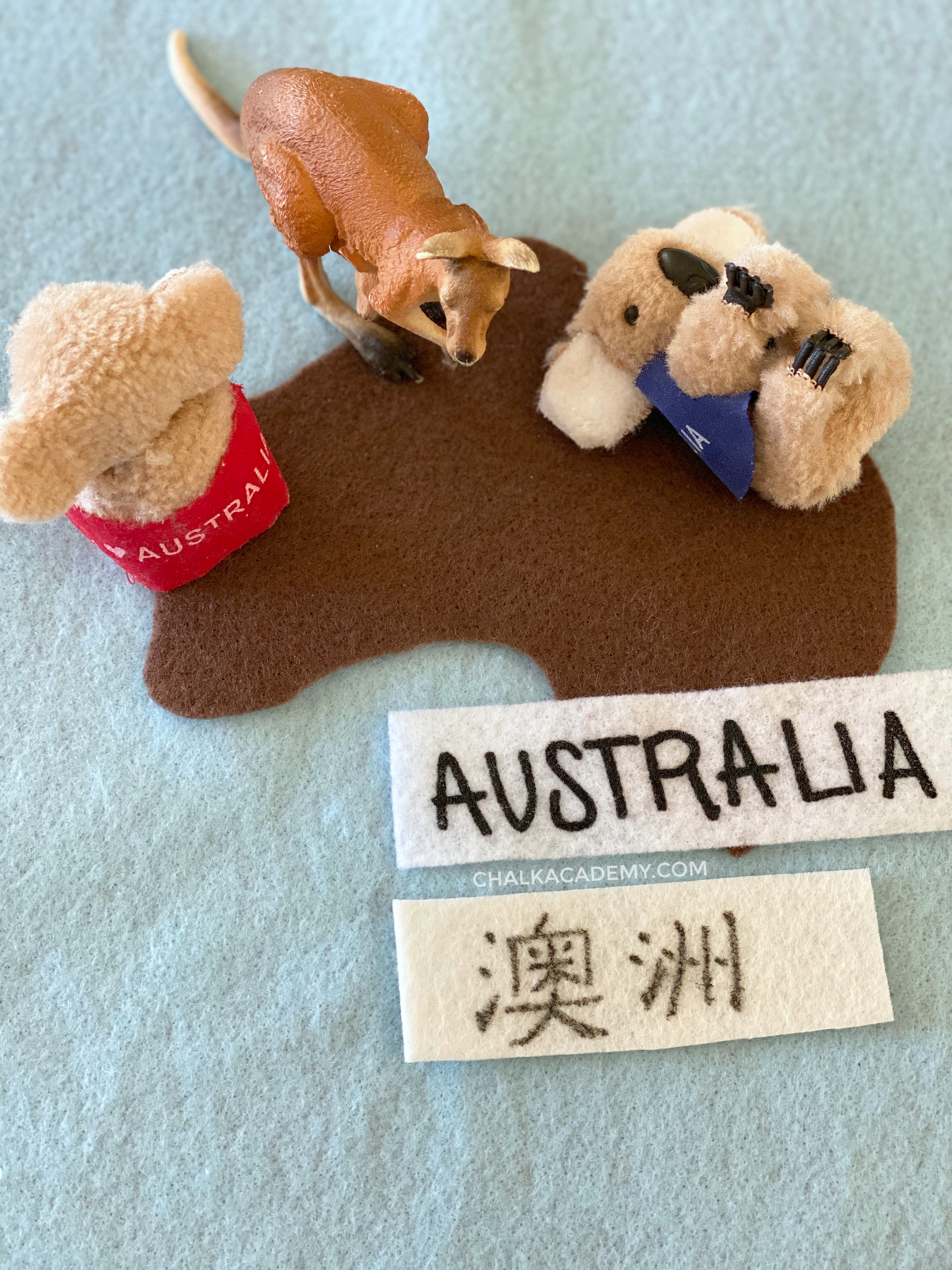 Montessori Felt World Map for Kids