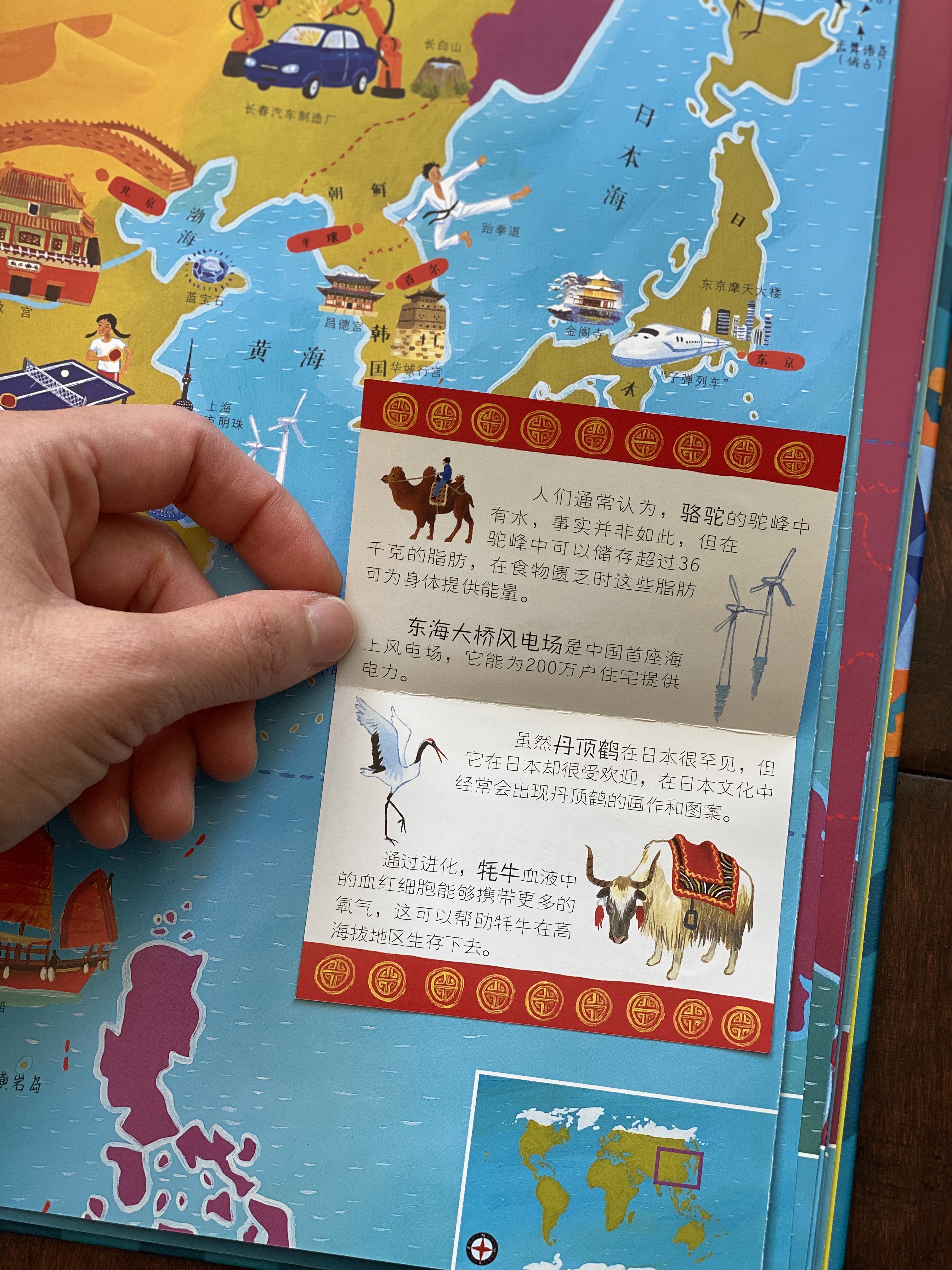 6 Geography World Map Atlas Books in Chinese and English for Elementary ...