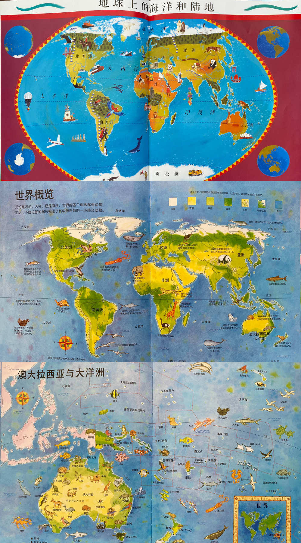 Geography World Map Atlas Books for Kids in Chinese and English