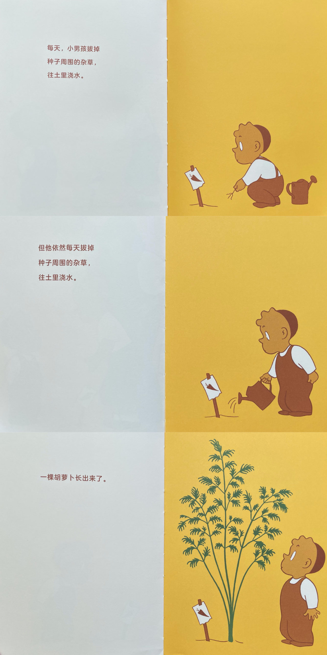 25+ Delicious English and Chinese Picture Books About Food • Chalk Academy