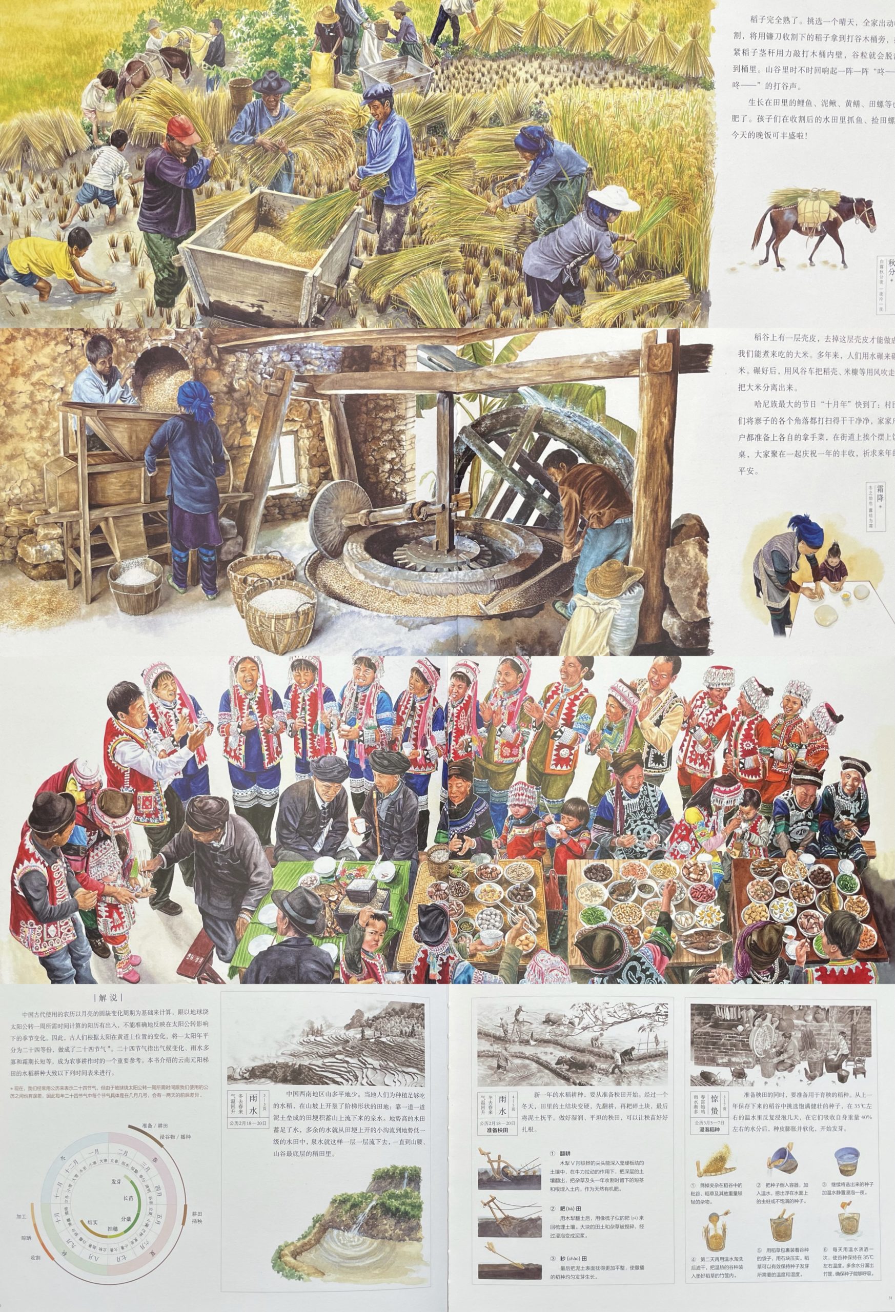 25+ Delicious English and Chinese Picture Books About Food