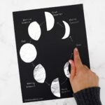 Fun Moon Phase Crafts and Activities for Kids